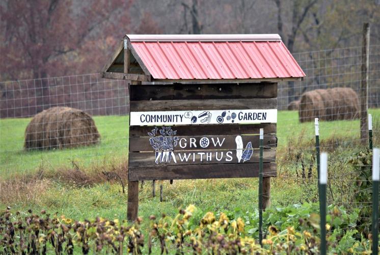 West Virginia AC raising funds for New Roots Community Farm | Community ...