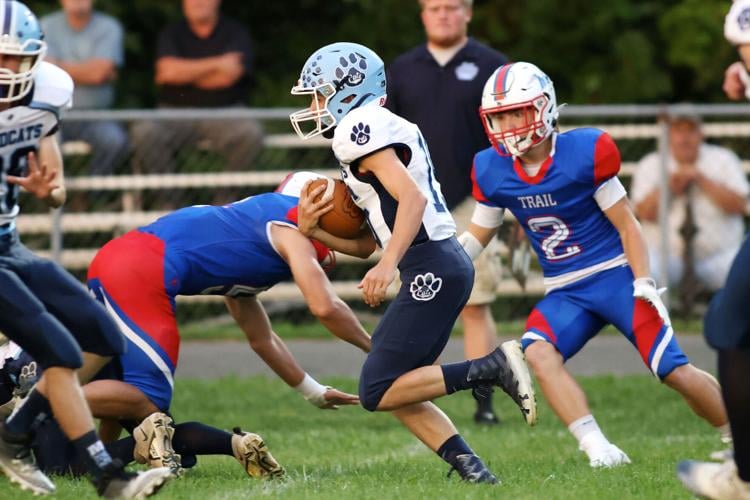 Patriots roll in weather-shortened game | Sports | fayettetribune.com