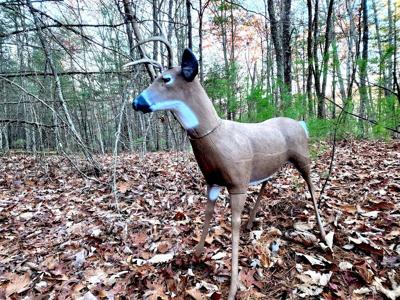 All the world is a stage in deer season, Part II | Sports ...