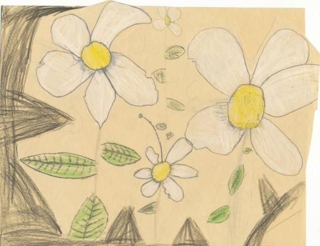 Appalachian Spring Wildflower art exhibit open; Wildflower Weekend ...