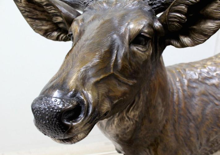 tamarack wv coloring pages