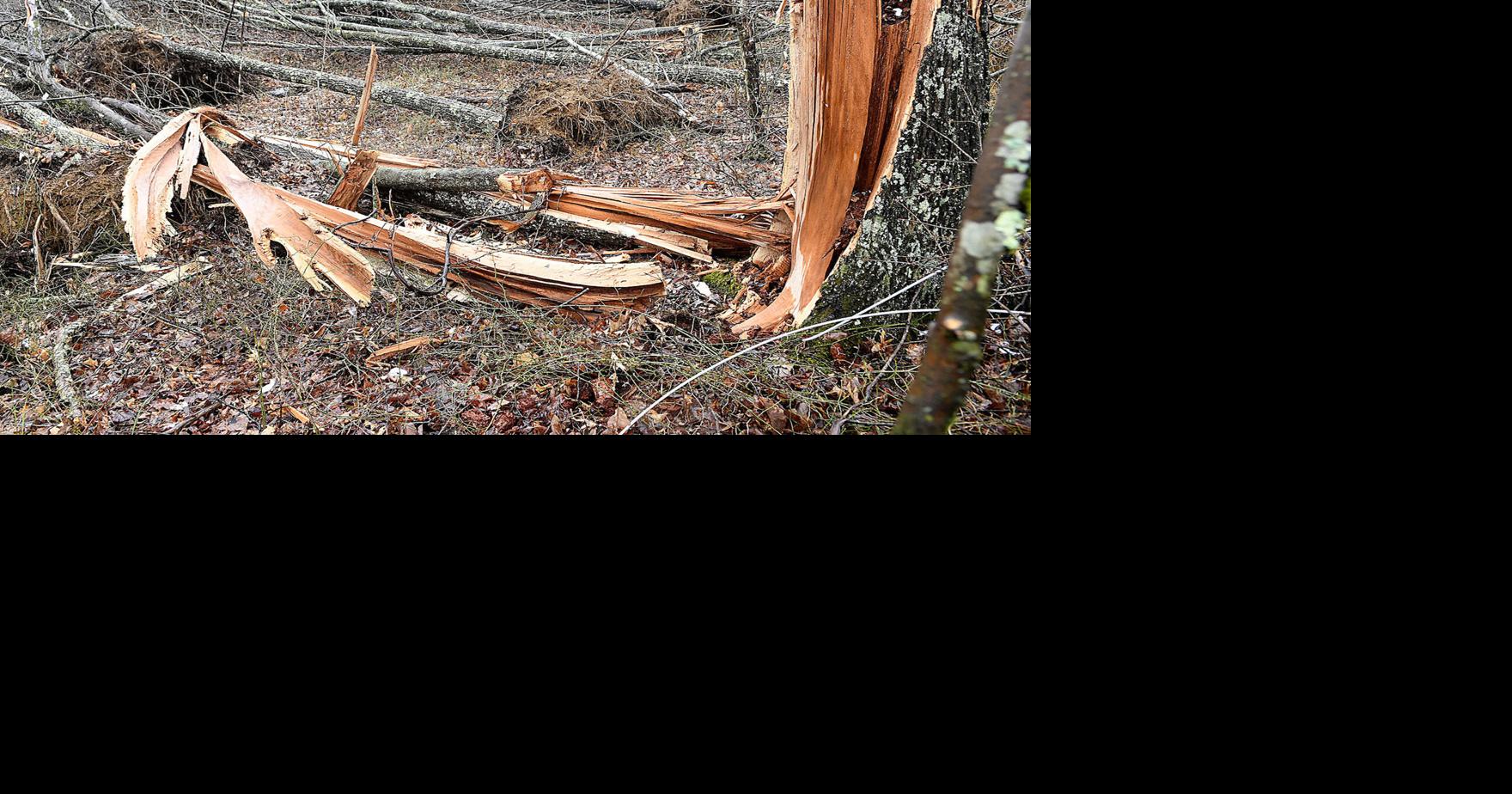 Tornado confirmed in Hico | News | fayettetribune.com