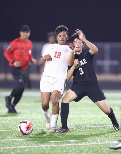 Terry soccer has successful yearLady Rangers a playoff team in ...