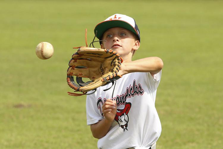 Terry, Randle coaches continue to grow the game of baseball with joint ...
