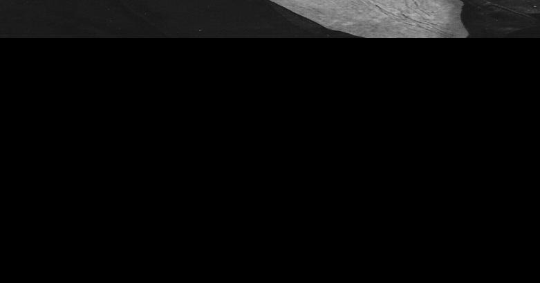 Addie Andrew's Instagram, Twitter & Facebook on IDCrawl