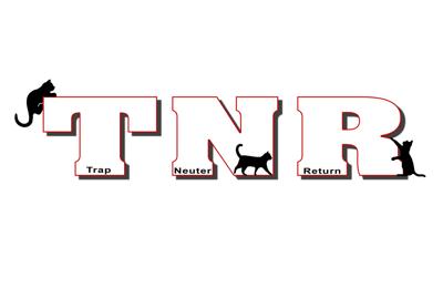 TNR program put on back burner | News | fbherald.com