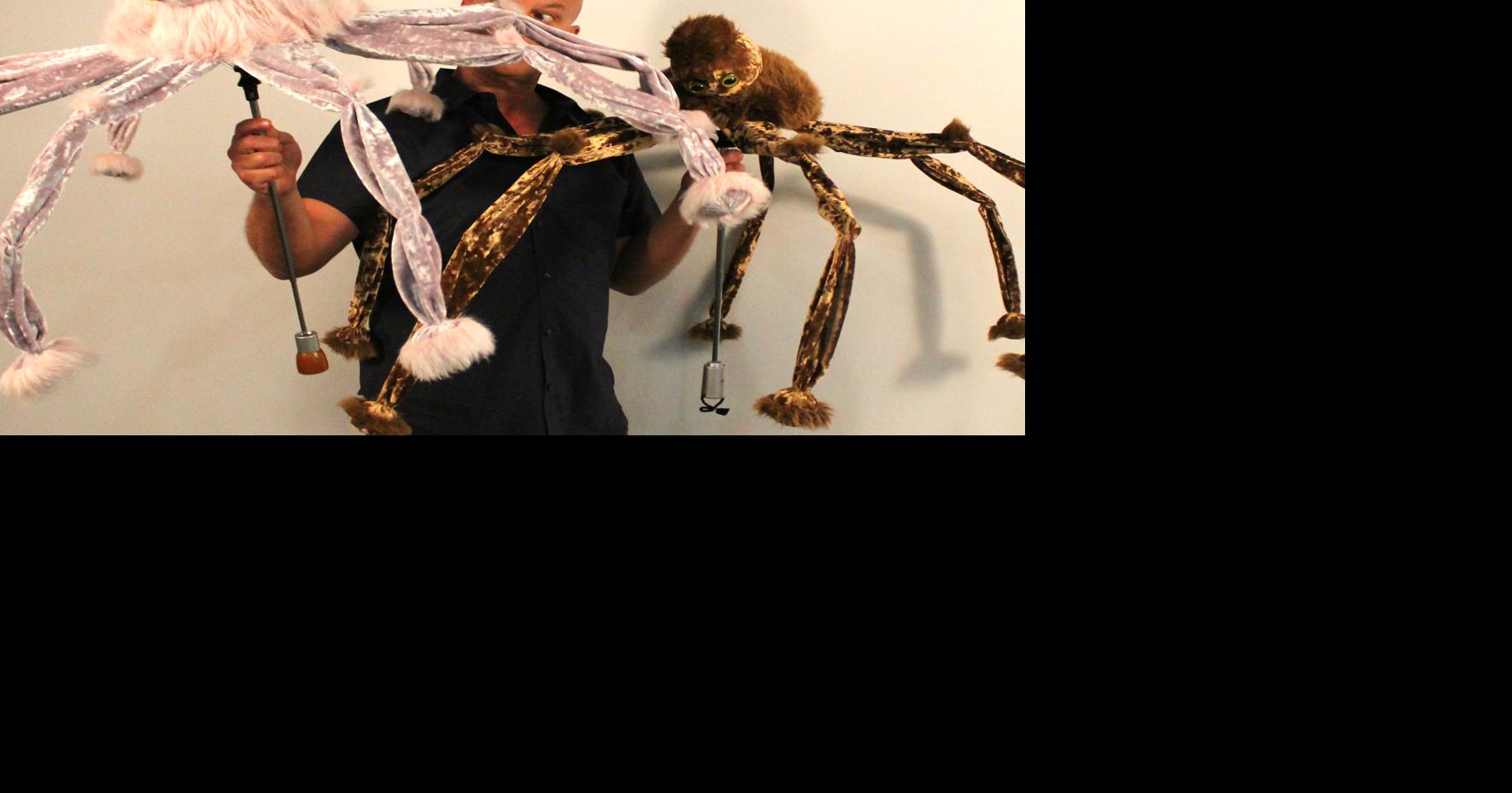 Area libraries to host children’s program on ancient art of puppetry ...