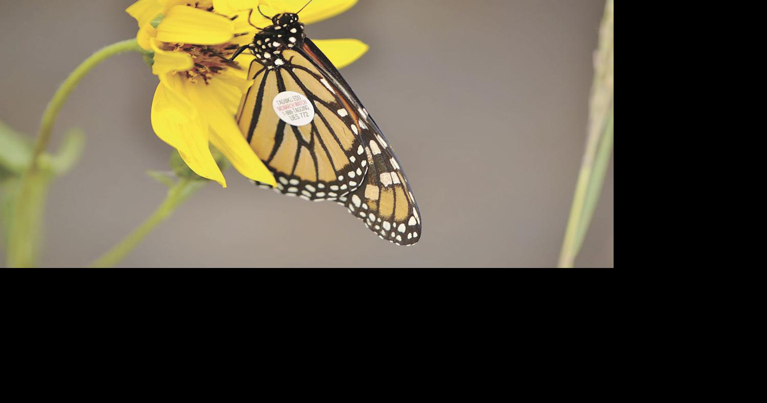 Prairie Wetlands Learning Center celebrates 20 years | News ...