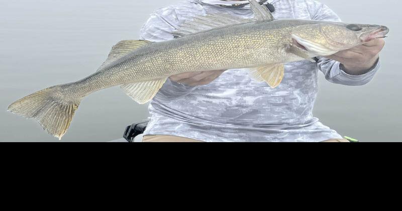 Old school for old fish | News | fergusfallsjournal.com