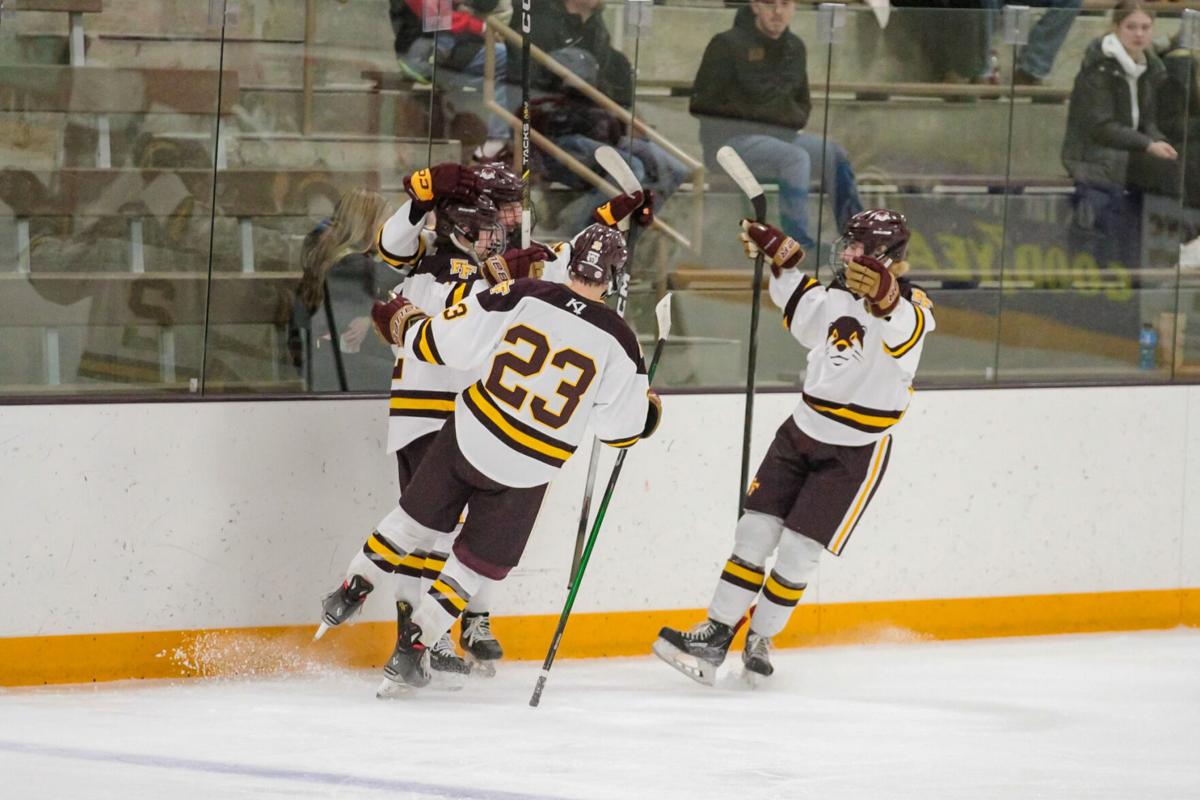 Alexandria defeats Fergus Falls in high school hockey | Sports ...
