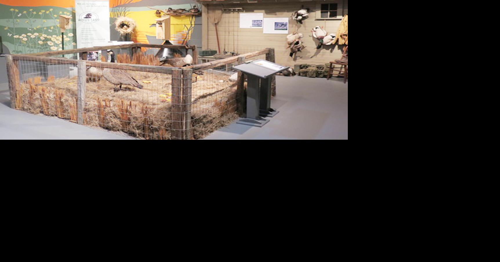 OTCHS exhibit celebrates 100 Years of Conservation | News ...