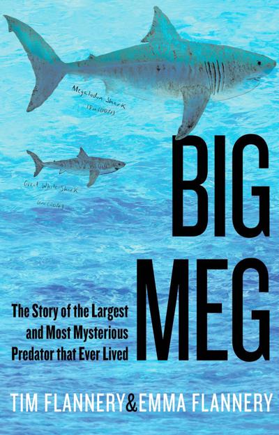 'Big Meg' | Lifestyle | fergusfallsjournal.com