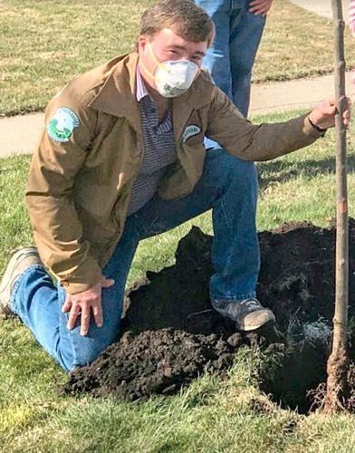 Planting a legacy: Fergus Falls named Tree City USA | News ...