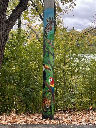 Rainforest on the lake: New art by Aaron McCune showcases new element ...