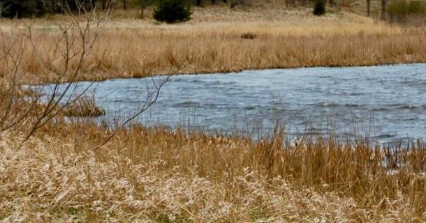 MN CREP expands to 12 more Minnesota counties | News ...