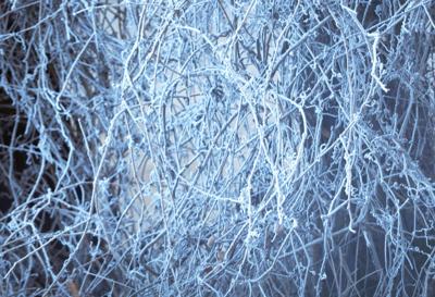 What constant distractions are doing to our brains ...