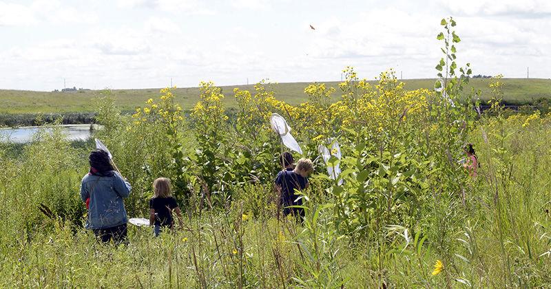 Marking monarchs: Prairie wetlands learning center hosts butterfly ...
