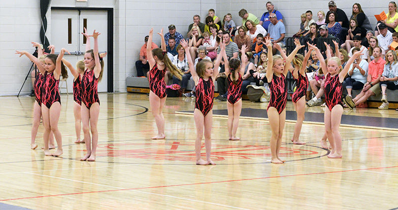 Fire Star Gymnastics displays skills at show | Sports ...