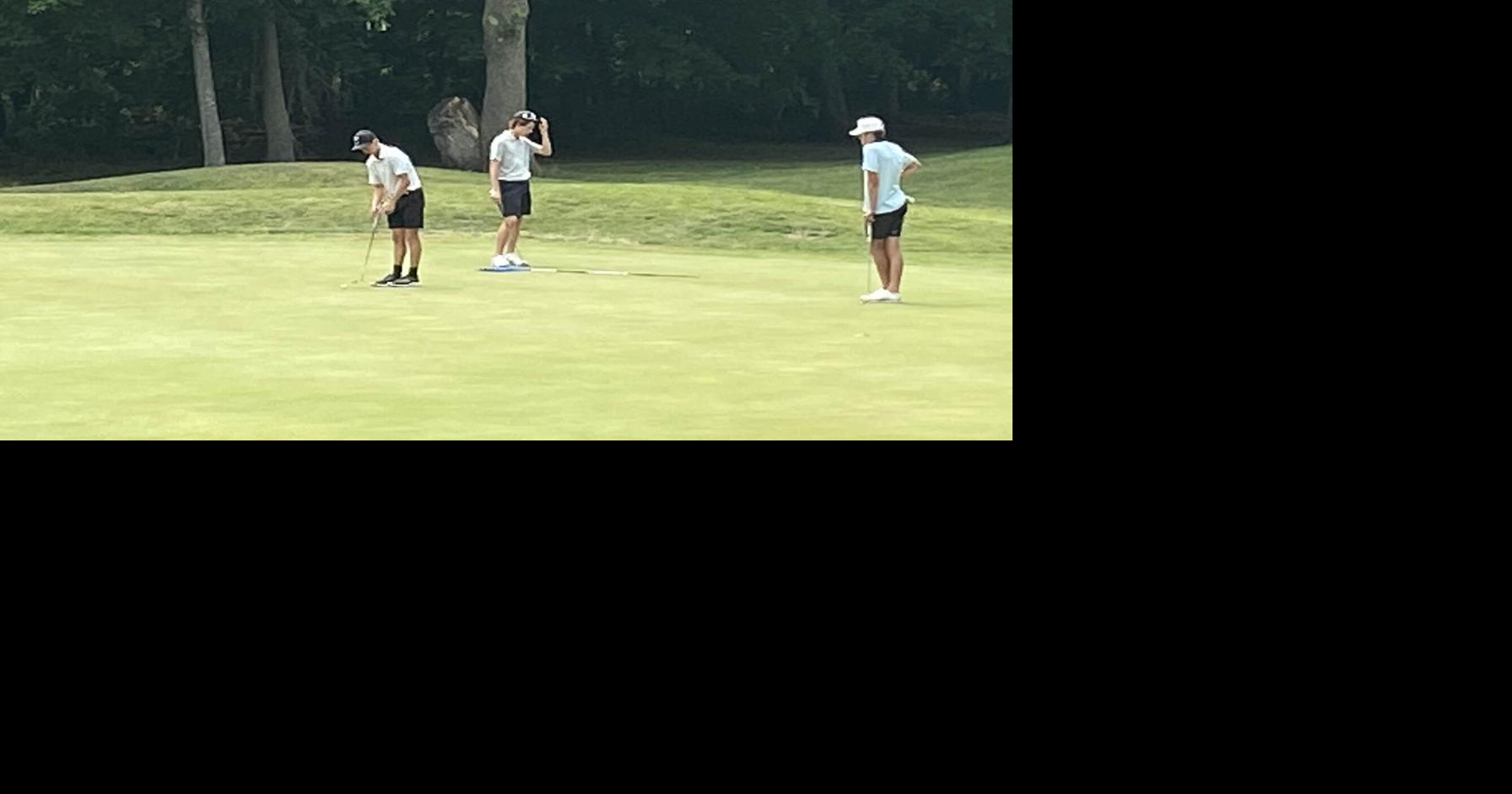 Dewey competes at state golf | Sports | fergusfallsjournal.com