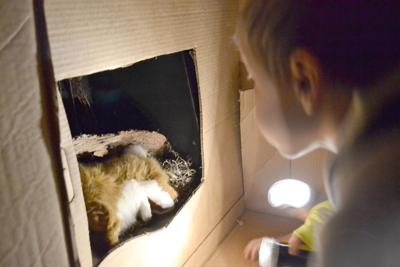 Prehistoric animals at the Prairie Wetlands Learning Center | News ...