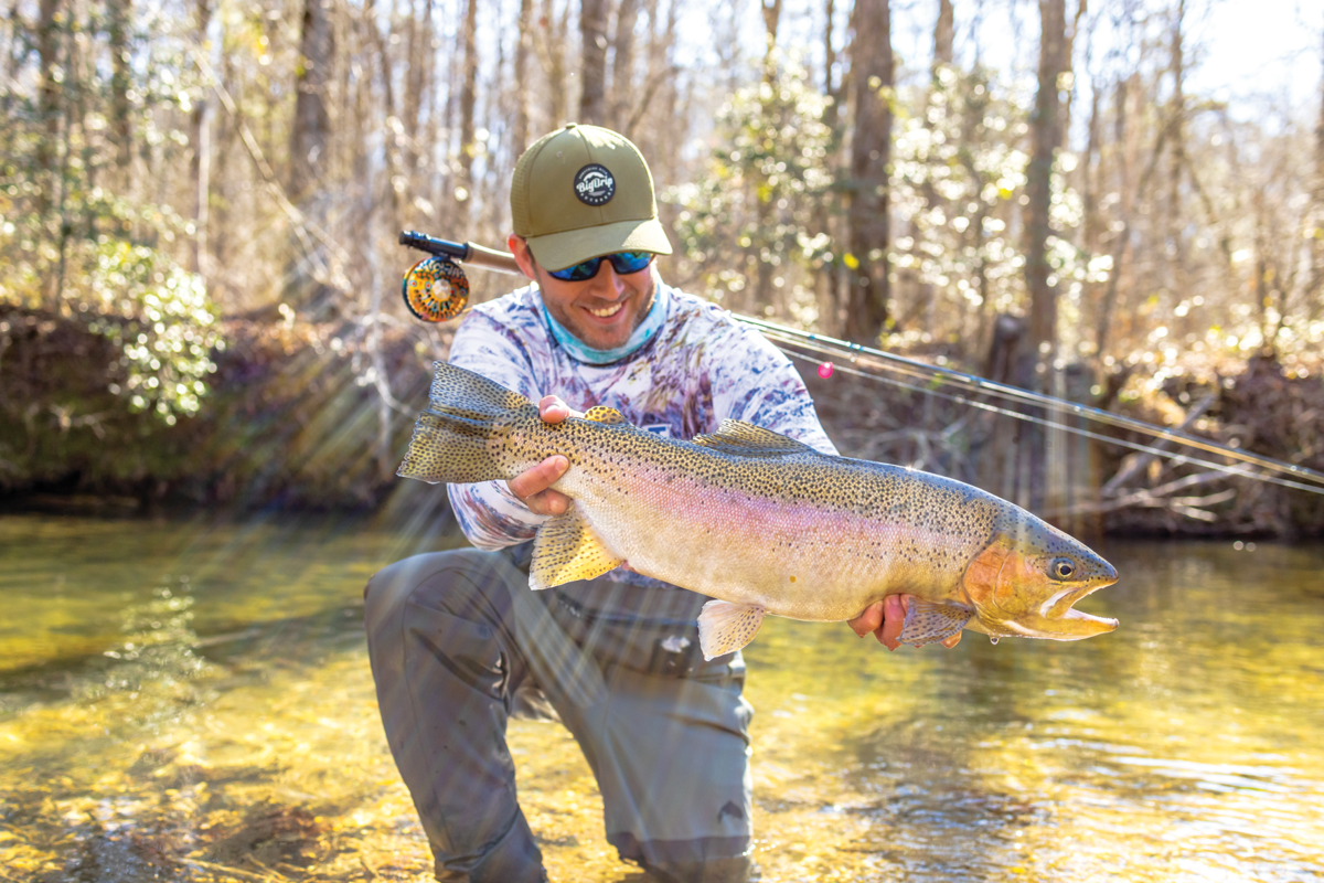 tropical fish brough