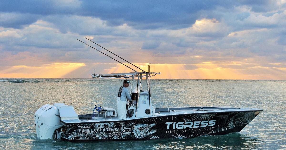 Tigress Fiberglass Electronic Storage Boxes | Press Releases ...