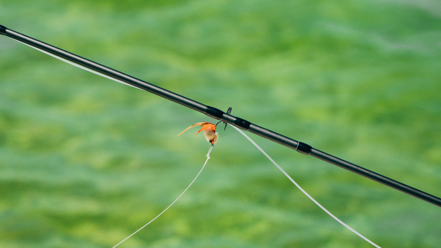 Choosing and Rigging Fly Fishing Line, Leader and Tippet | InShore ...