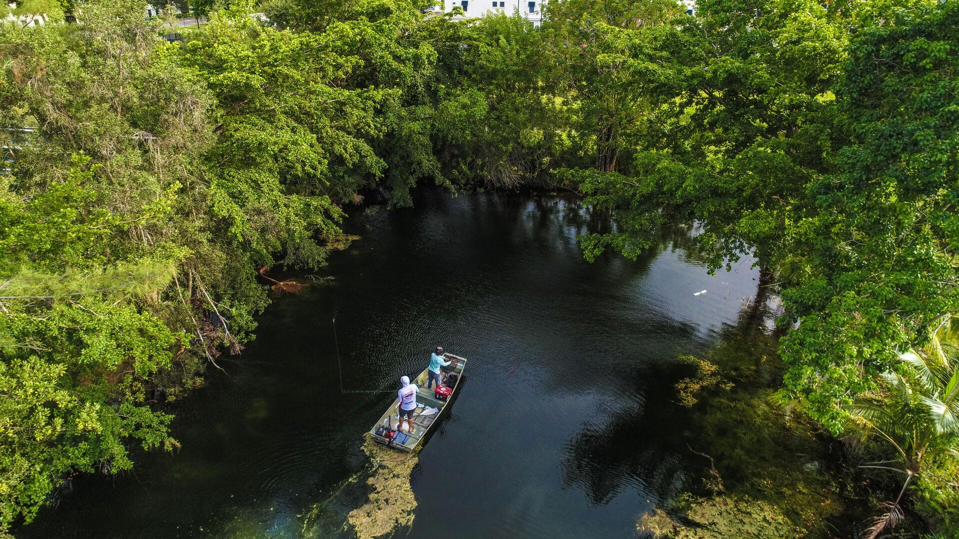 Snakeheads: Florida's Most Misunderstood Invasive Species | FreshWater ...