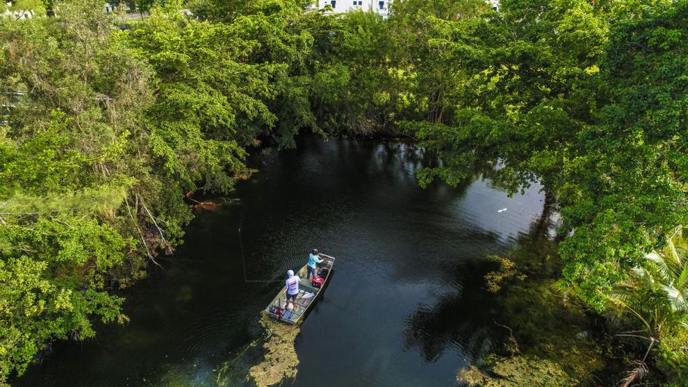 Snakeheads: Florida's Most Misunderstood Invasive Species | FreshWater ...