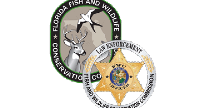 FWC Division of Law Enforcement Weekly Report | Press Releases ...