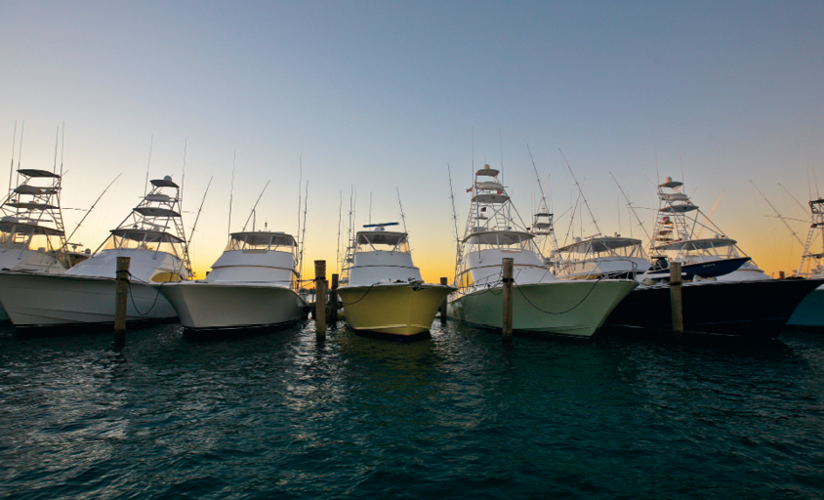72nd Annual Silver Sailfish Derby | | floridasportfishing.com