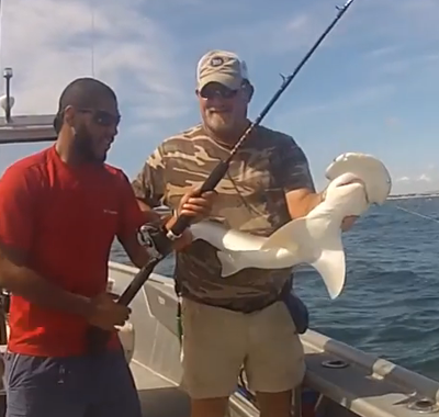 Jacksonville | Fishing-report | floridasportfishing.com