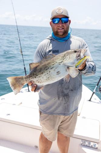 Catch and Release Gag Grouper | InShore | floridasportfishing.com