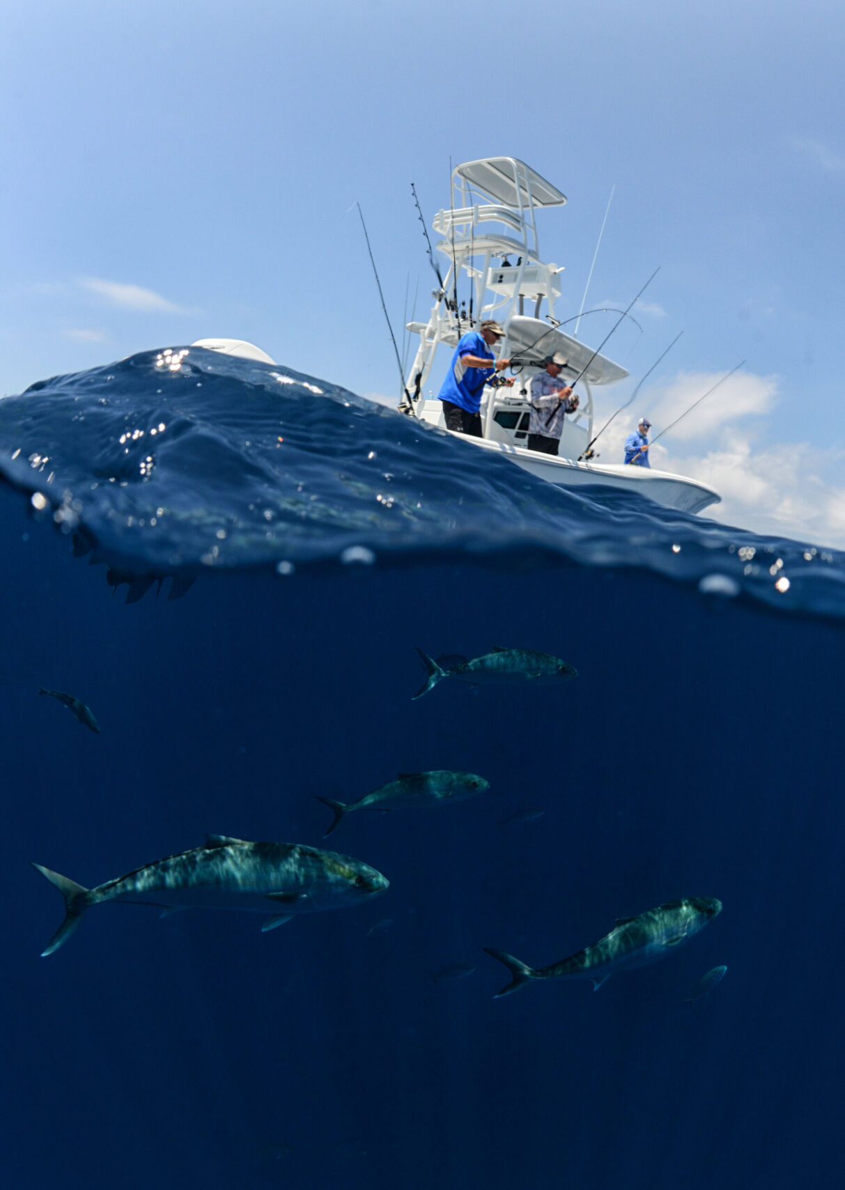 Ciguatera Poisoning: Symptoms, Treatment and More | OffShore ...