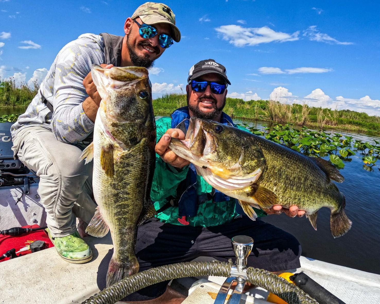 5 Florida Bass Baits You Need in Your Arsenal | FreshWater ...
