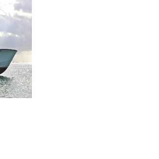 Fearless Fishing Charters | Fishing-report | floridasportfishing.com