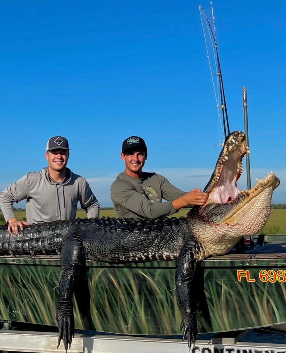 Florida's Alligator Harvest Rules and Regulations | FreshWater | floridasportfishing.com