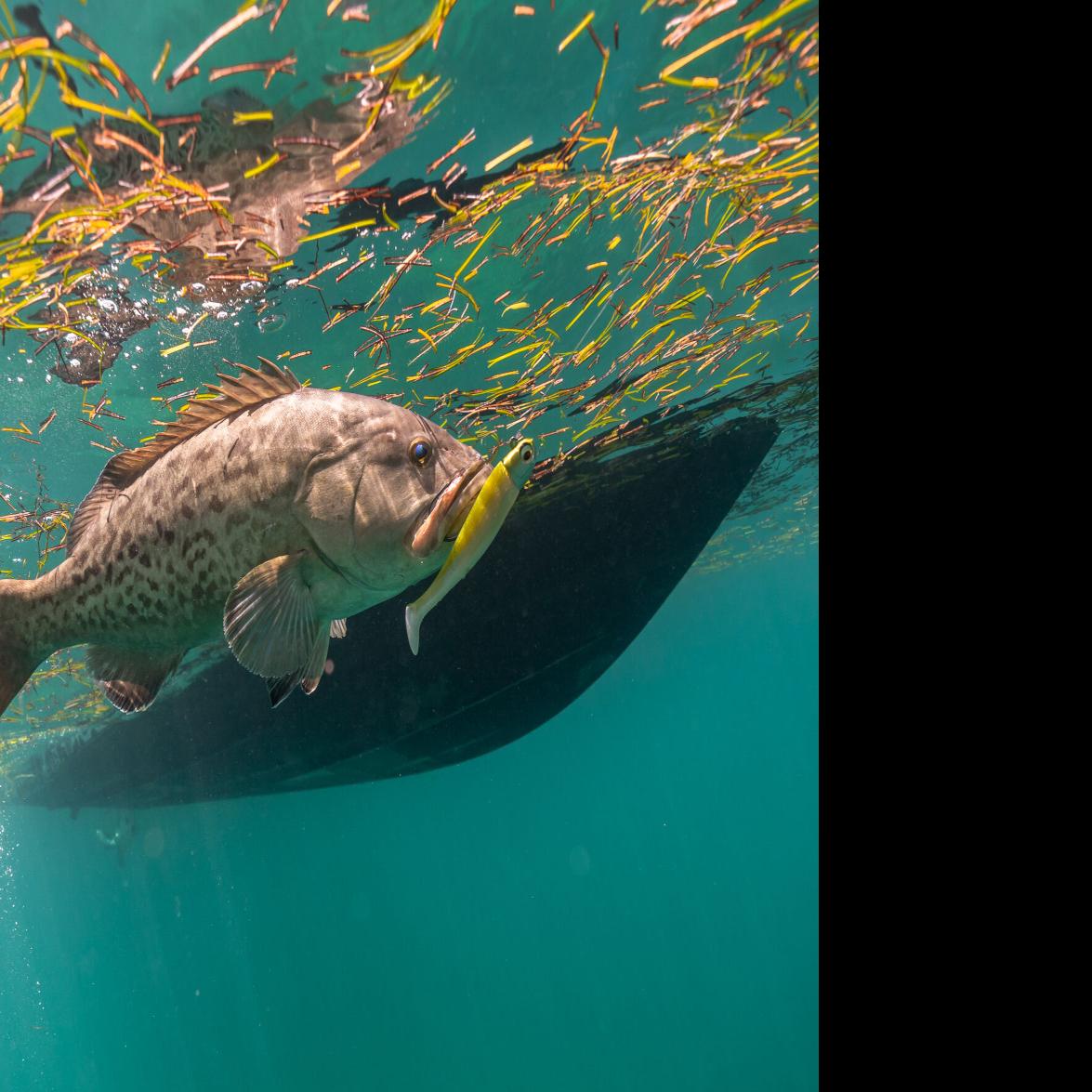 floridasportfishing.com | Florida Sport Fishing