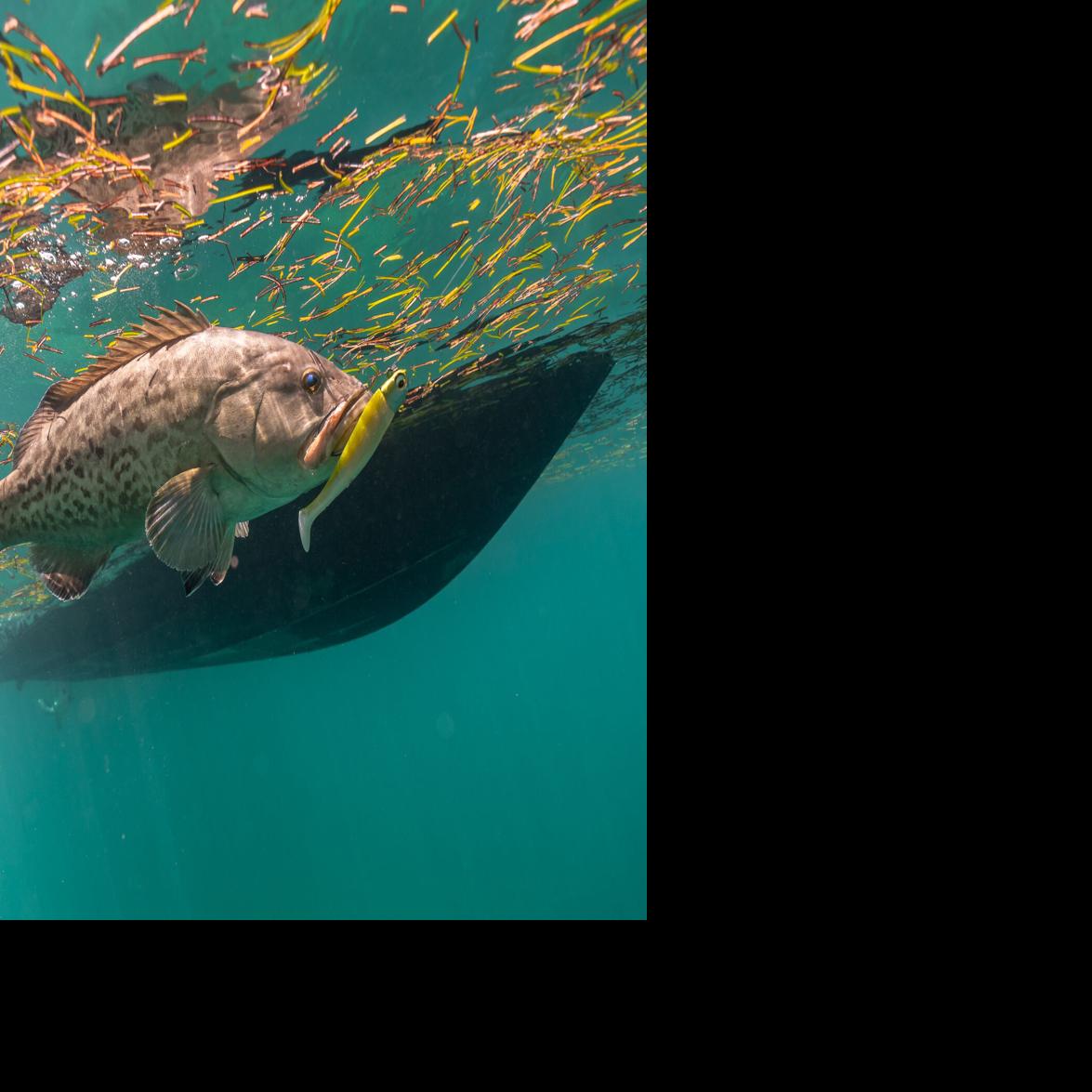 floridasportfishing.com | Florida Sport Fishing