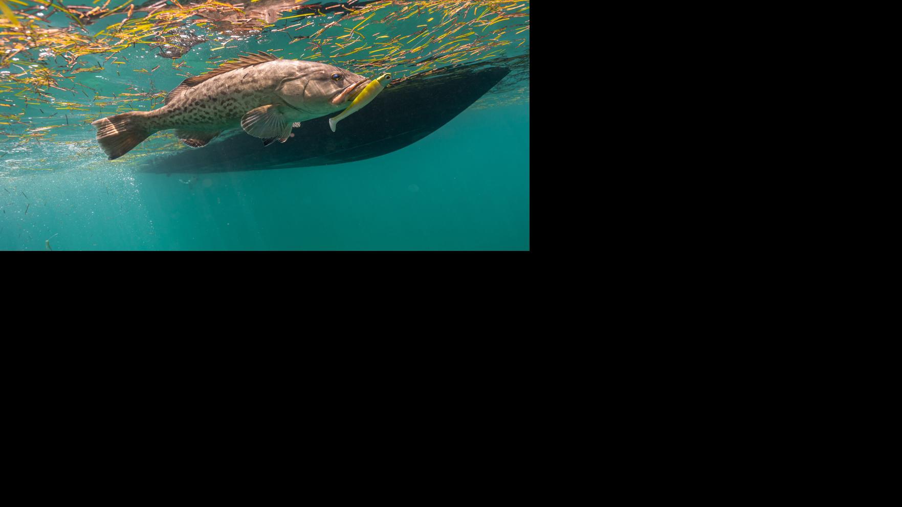 floridasportfishing.com | Florida Sport Fishing