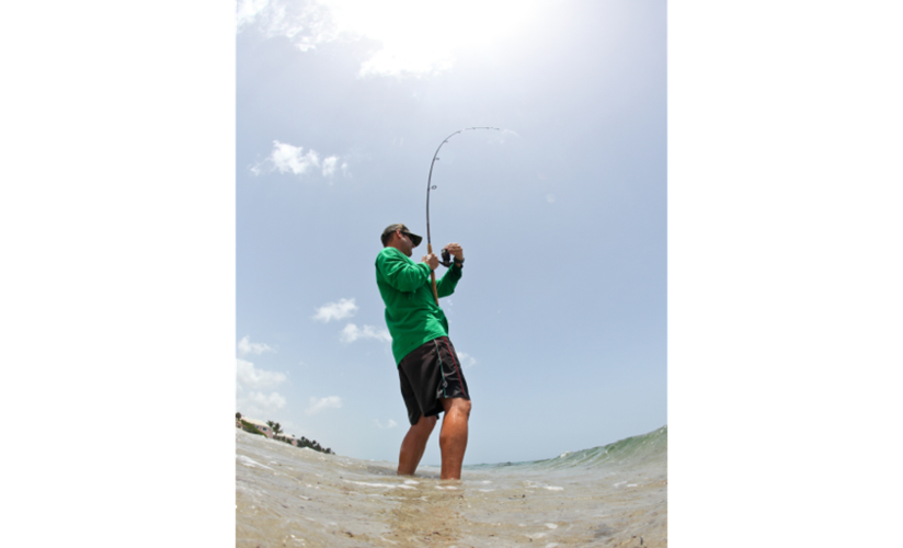 Beach Snook | Multimedia | floridasportfishing.com