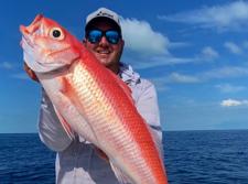 How to Catch Queen Snapper: Deep Drop Guide | OffShore ...