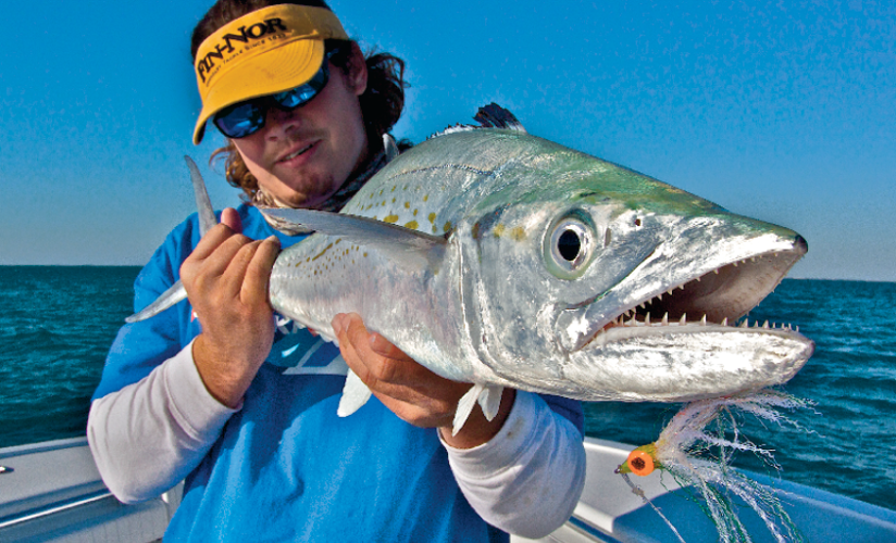 Into The Blue | OffShore | floridasportfishing.com