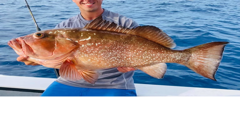 Species Spotlight: Red Grouper | OffShore | floridasportfishing.com