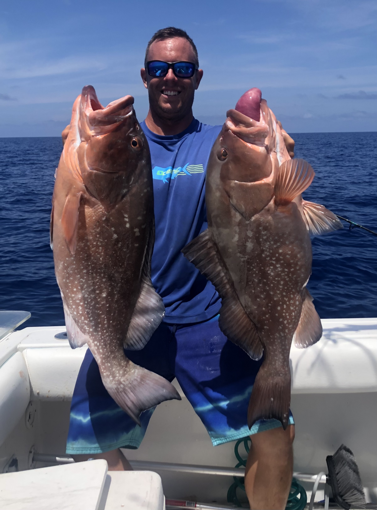 Species Spotlight: Red Grouper | OffShore | floridasportfishing.com