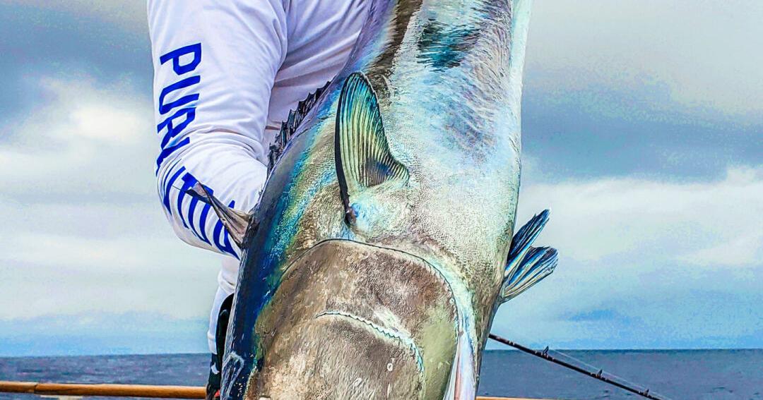 7. Focusing on the head of the fish will always make for a more ...
