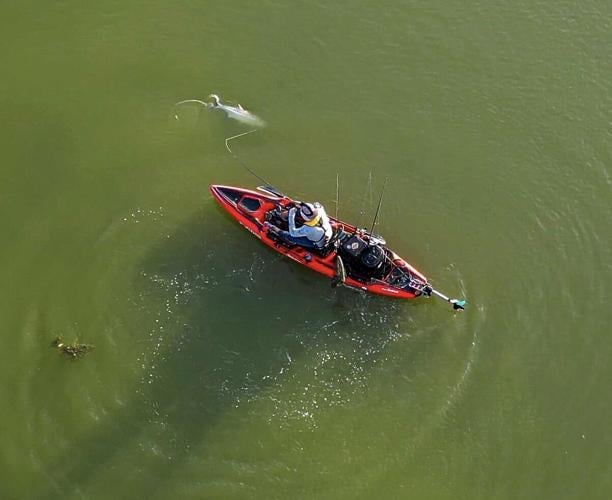 Landing Tarpon from a Kayak: Gear, Strategy | InShore ...