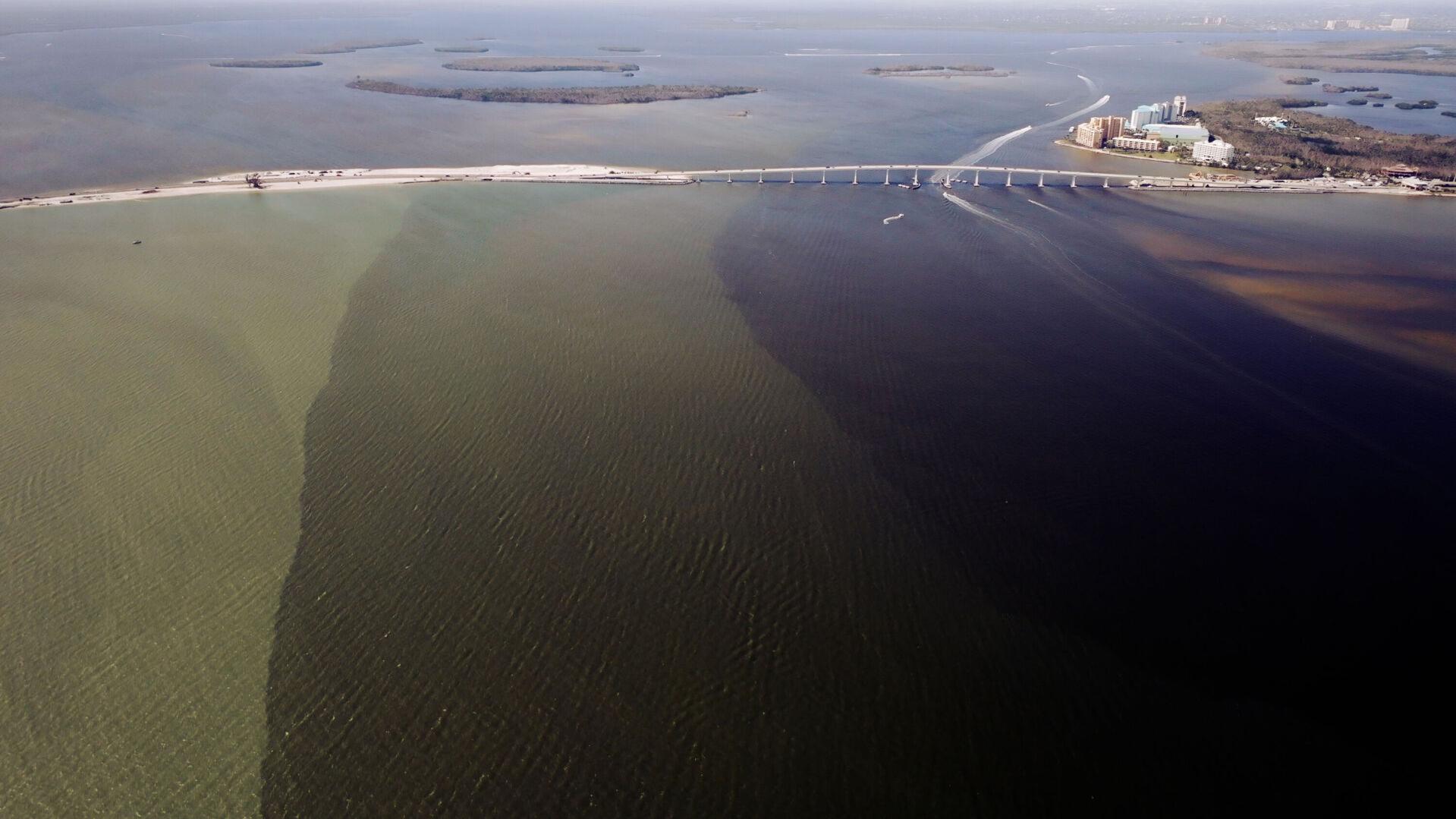 floridasportfishing.com | Florida Sport Fishing