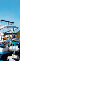 Insatiable Insanity | Offshore How-Tos | floridasportfishing.com