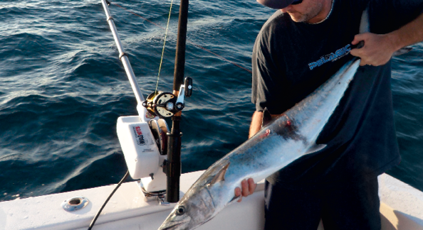 Ready… Set… Deploy | OffShore | floridasportfishing.com